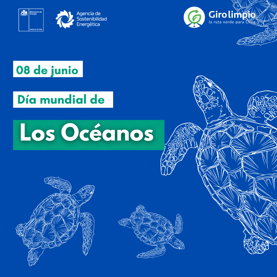 08 De Junio Día Mundial De Los Océanos Giro Limpio